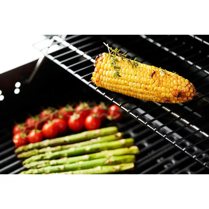 Grill gazowy Spring 3002 Barbecook Tanio - sklep online NETtrading.pl